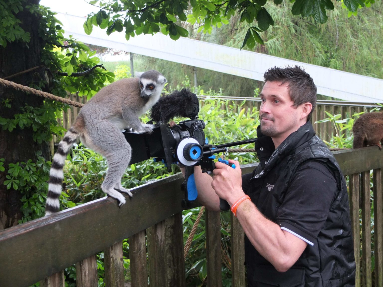 Unique Team Building in Animal Collections over UK- Teambuildingwithbite