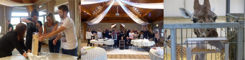 Unique Team Building in Animal Collections over UK- Teambuildingwithbite