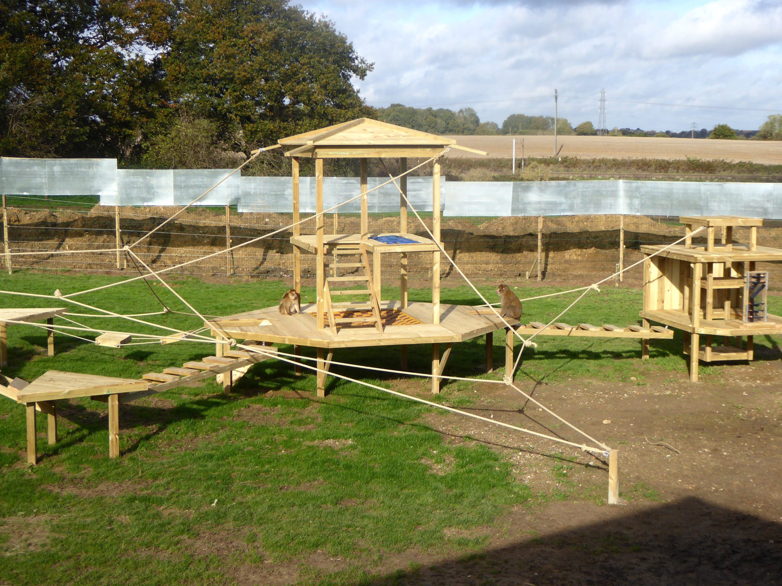 Enclosure builds - Team Building With Bite